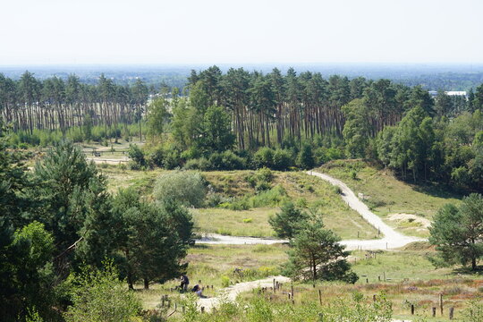 Sennelandschaft Bilder – Durchsuchen 739 Archivfotos, Vektorgrafiken ...