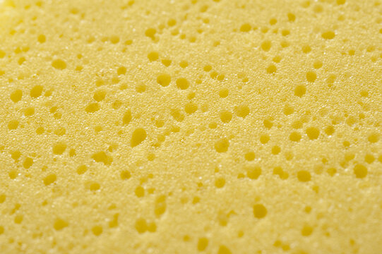 Pock Images – Browse 15,057 Stock Photos, Vectors, and Video | Adobe Stock