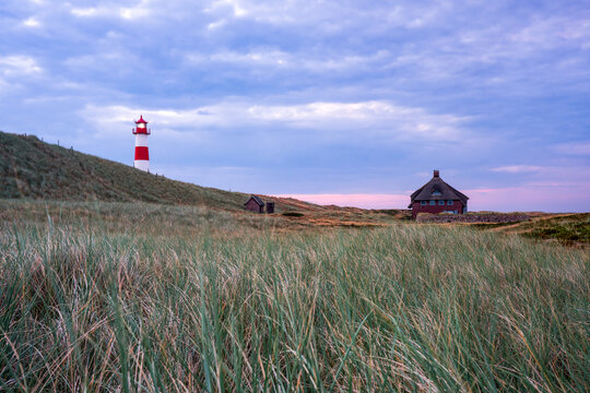 List-Ost bilder – Bläddra bland 93 stockfoton, vektorer och videor ...