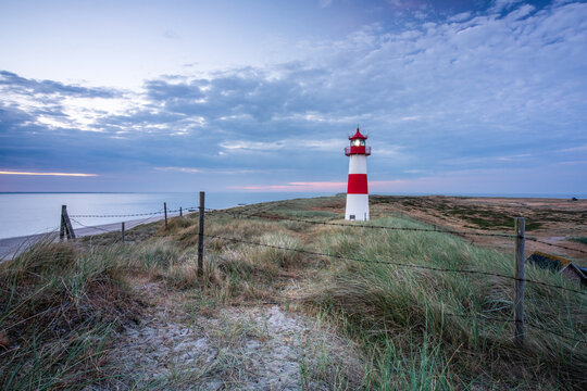 List-Ost bilder – Bläddra bland 93 stockfoton, vektorer och videor ...