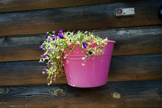 Blechtopf Images – Browse 67 Stock Photos, Vectors, and Video | Adobe Stock