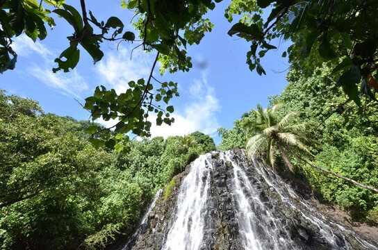 Pohnpei Images – Browse 564 Stock Photos, Vectors, and Video | Adobe Stock