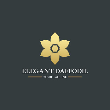 Daffodil Logo The Welsh Football New Graphic Identity Nss Sports