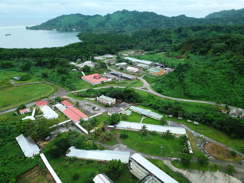 Tofol Billeder – Gennemse 180 stockfotos, vektorer og videoer | Adobe Stock