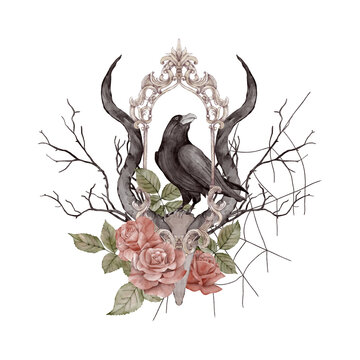 รูปภาพ"Crow – เลือกดูภาพถ่ายสต็อก เวกเตอร์ และวิดีโอ180,012 | Adobe Stock