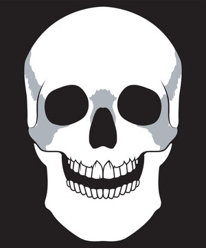 "Danger Skull" Images – Browse 670 Stock Photos, Vectors, and Video ...