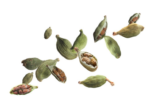 Green Cardamom"」の写真素材 | 85,586件の無料イラスト画像 | Adobe Stock