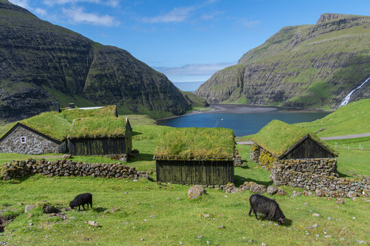 Urinsteine Bilder – Durchsuchen 1,456 Archivfotos, Vektorgrafiken und ...