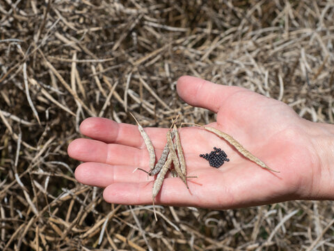 รูปภาพRapssaat – เลือกดูภาพถ่ายสต็อก เวกเตอร์ และวิดีโอ93 | Adobe Stock