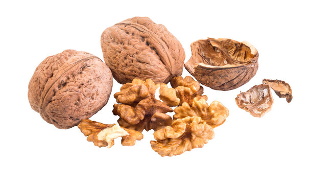 Open Nutshell Bilder – Durchsuchen 49,251 Archivfotos, Vektorgrafiken ...