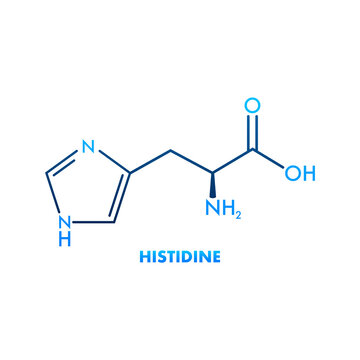 Histidine Structure Amino Acid