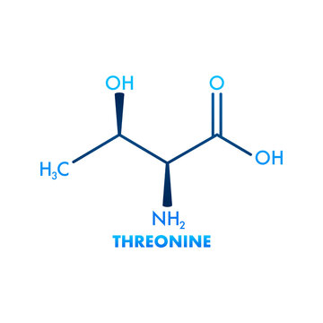 รูปภาพThreonin – เลือกดูภาพถ่ายสต็อก เวกเตอร์ และวิดีโอ5,813 | Adobe Stock