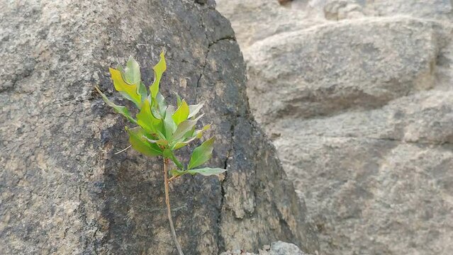 "Ground Shot"-Bilder: Stock-Fotos & -Videos. | Adobe Stock