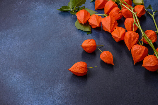 Harankash Images – Browse 13,857 Stock Photos, Vectors, and Video ...