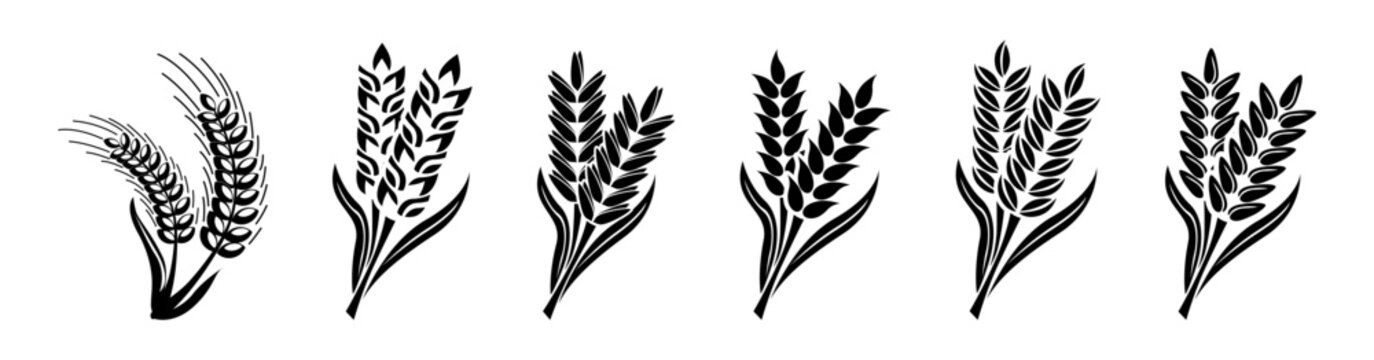 Garbe Bilder – Durchsuchen 34,029 Archivfotos, Vektorgrafiken und ...