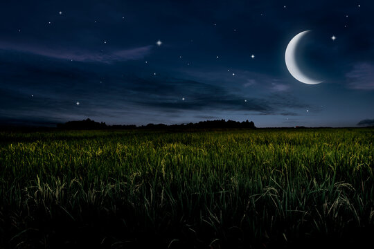 "Silent Night" Images – Browse 4,742 Stock Photos, Vectors, and Video ...