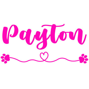 รูปภาพPayton – เลือกดูภาพถ่ายสต็อก เวกเตอร์ และวิดีโอ16 | Adobe Stock