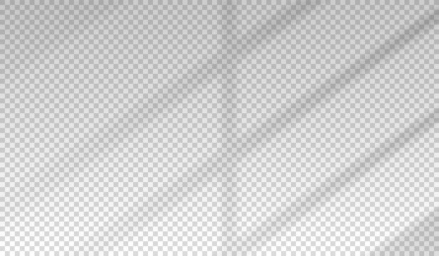 Reflector Texture Bilder – Durchsuchen 7,389 Archivfotos ...