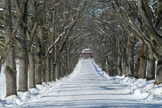 Kalte Bilder – Durchsuchen 9,249,436 Archivfotos, Vektorgrafiken und ...