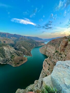 Botan Bilder – Durchsuchen 621 Archivfotos, Vektorgrafiken und Videos ...