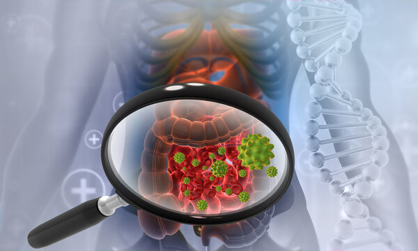 Imágenes de Digest: descubre bancos de fotos, ilustraciones, vectores y ...