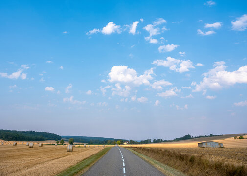 Lowland Images – Browse 95,255 Stock Photos, Vectors, and Video | Adobe ...