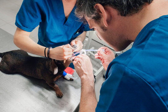 Unrecognizable Images – Browse 499,042 Stock Photos, Vectors, and Video ...