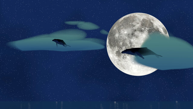 Furchenwal Bilder – Durchsuchen 1,667 Archivfotos, Vektorgrafiken und ...