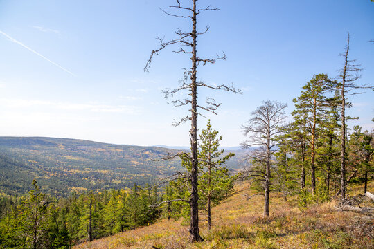 Yamantau bilder – Bläddra bland 88 stockfoton, vektorer och videor ...