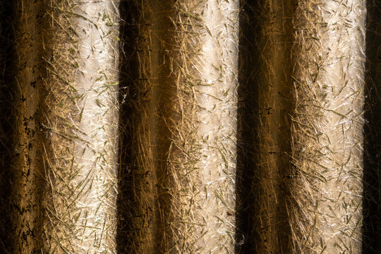 รูปภาพCorriboard – เลือกดูภาพถ่ายสต็อก เวกเตอร์ และวิดีโอ551 | Adobe Stock