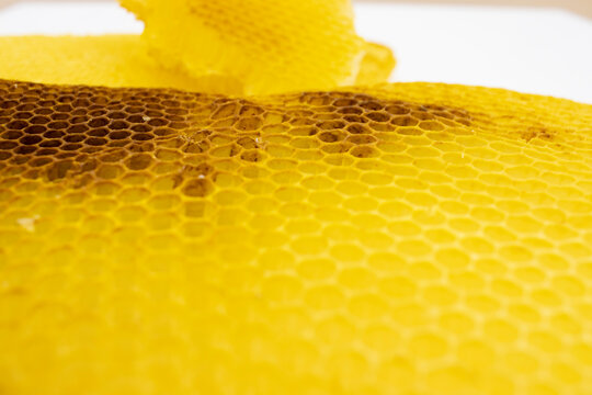 รูปภาพGaebul – เลือกดูภาพถ่ายสต็อก เวกเตอร์ และวิดีโอ748 | Adobe Stock