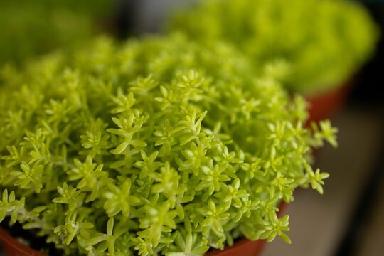 รูปภาพFarden – เลือกดูภาพถ่ายสต็อก เวกเตอร์ และวิดีโอ176 | Adobe Stock