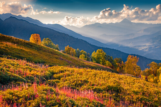 Andrew Mayovskyy : photos, images, fichiers | Adobe Stock