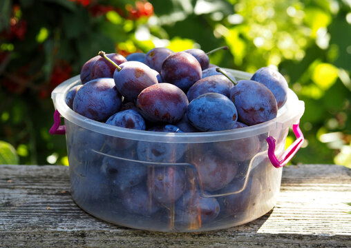 Ringlo Bilder – Durchsuchen 4,165 Archivfotos, Vektorgrafiken und ...