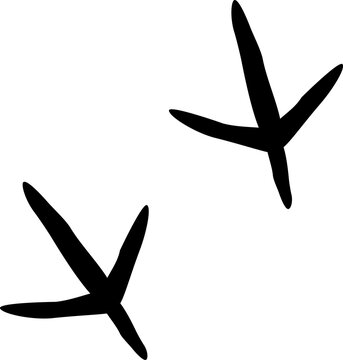 Turkey Track Silhouette