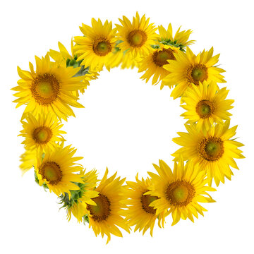 Sunflower Circle Border Images – Browse 1,453 Stock Photos, Vectors ...