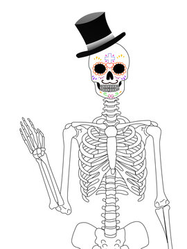 รูปภาพCatrin – เลือกดูภาพถ่ายสต็อก เวกเตอร์ และวิดีโอ630 | Adobe Stock