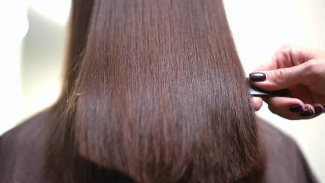 Brunnet Images – Browse 242 Stock Photos, Vectors, and Video | Adobe Stock