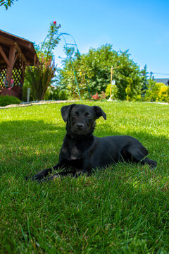 Moli Images – Browse 954 Stock Photos, Vectors, and Video | Adobe Stock