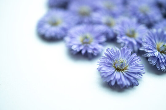 「Beautifulness」の写真素材 | 393件の無料イラスト画像 | Adobe Stock