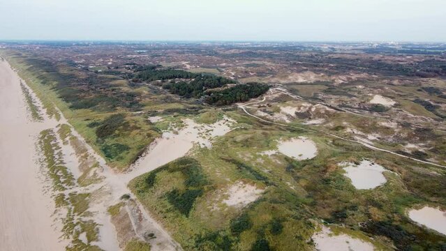 Duin Images – Browse 683 Stock Photos, Vectors, and Video | Adobe Stock