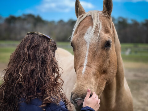 "Horse Stables" Images – Browse 441 Stock Photos, Vectors, and Video ...