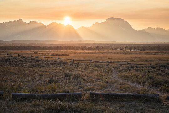 Gran Bilder – Durchsuchen 198,174 Archivfotos, Vektorgrafiken und ...