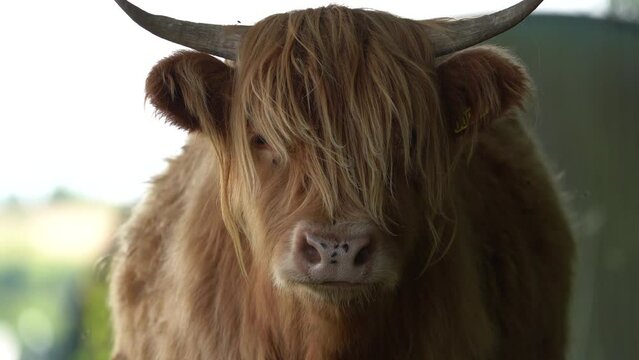 Meche Images – Browse 263 Stock Photos, Vectors, and Video | Adobe Stock