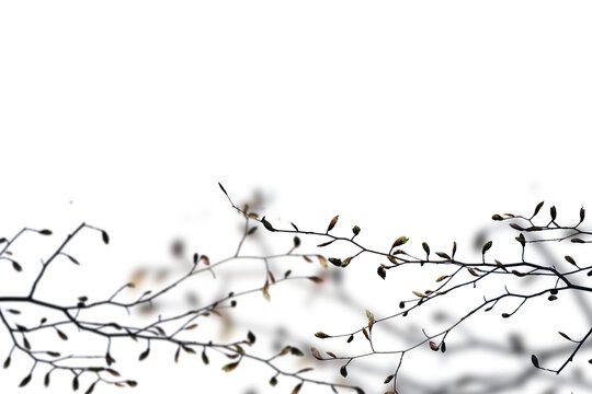 Freigestellte Images – Parcourir 8,479 le catalogue de photos, vecteurs ...