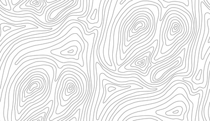 Sewing fabric with Seamless vector topographic map background white on ...