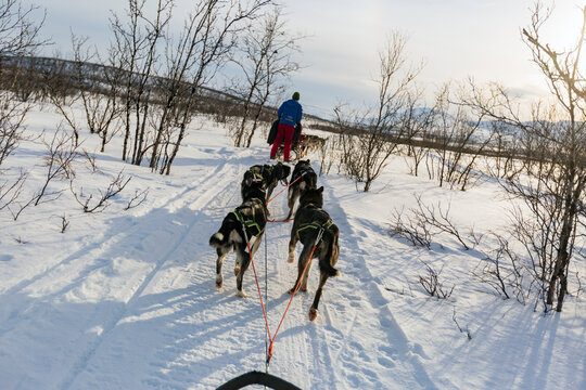 "Circolo Polare Artico" Images – Browse 201 Stock Photos, Vectors, and ...