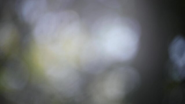 Cracked Lens Images – Parcourir 3,625 le catalogue de photos, vecteurs ...