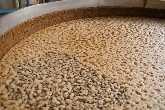 Fermenta Images – Browse 16 Stock Photos, Vectors, and Video | Adobe Stock