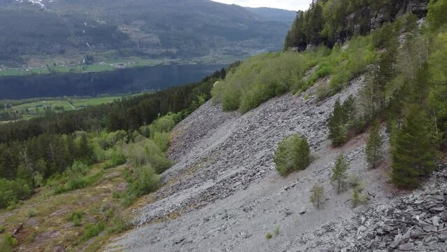 Berglemming Bilder – Durchsuchen 84 Archivfotos, Vektorgrafiken und ...